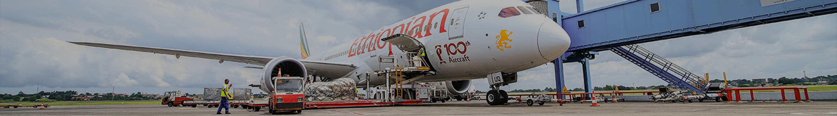 Arrivals - International Airport Leon Mba Of Libreville